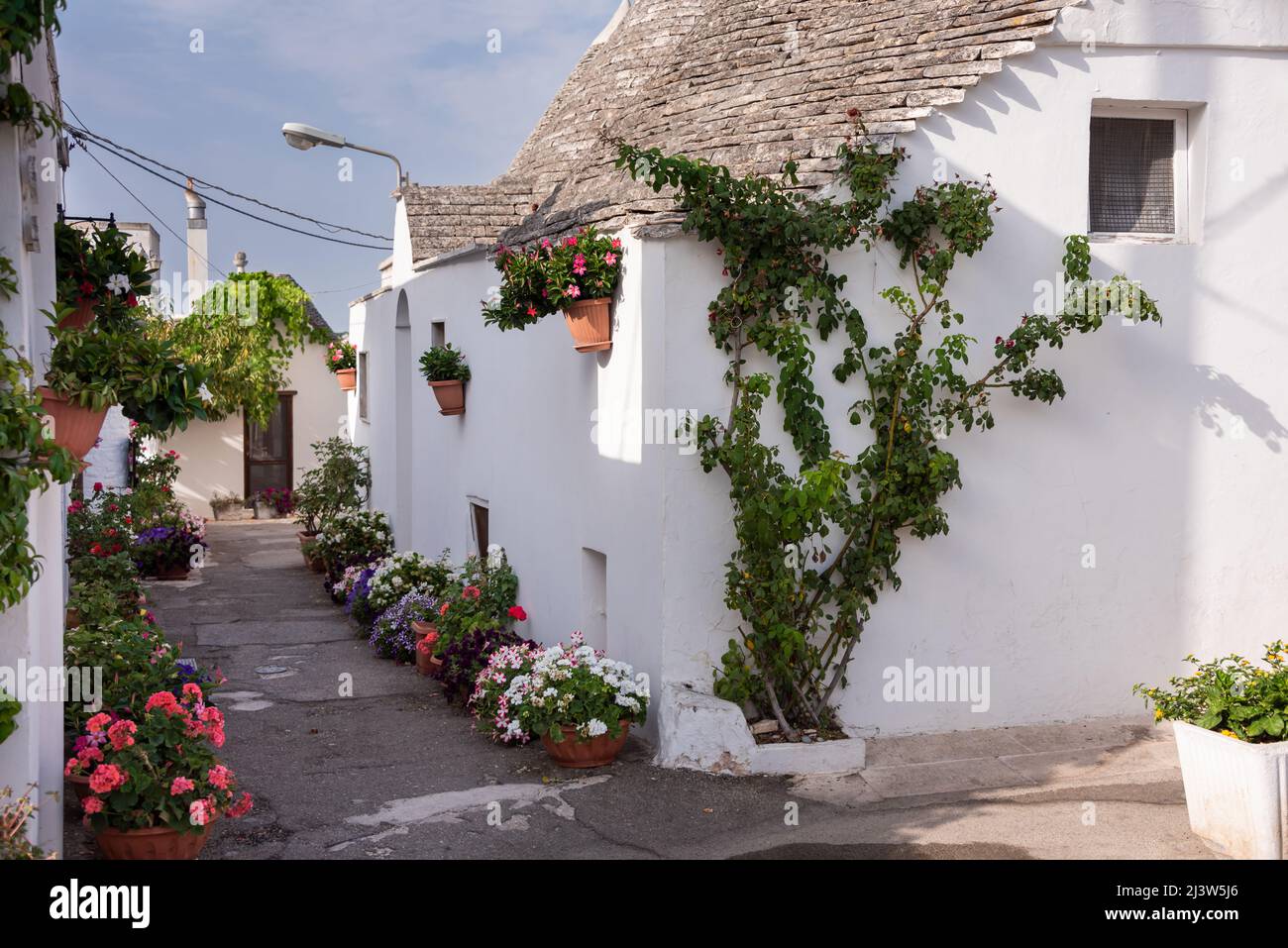 Alberobello town in Italy, famous for its traditional trullo houses ...