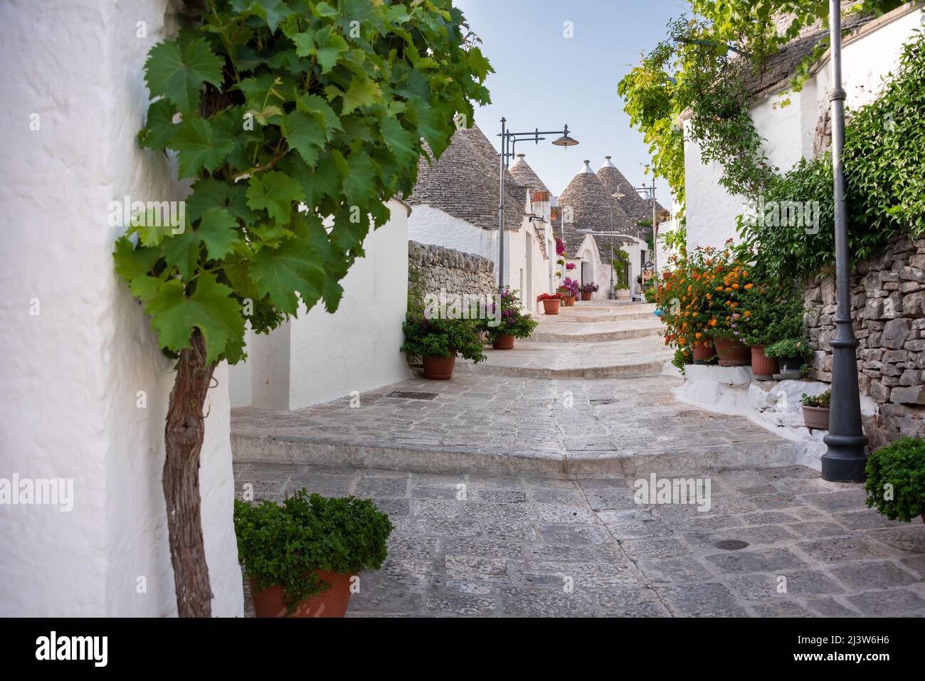 Alberobello town in Italy, famous for its traditional trullo houses ...