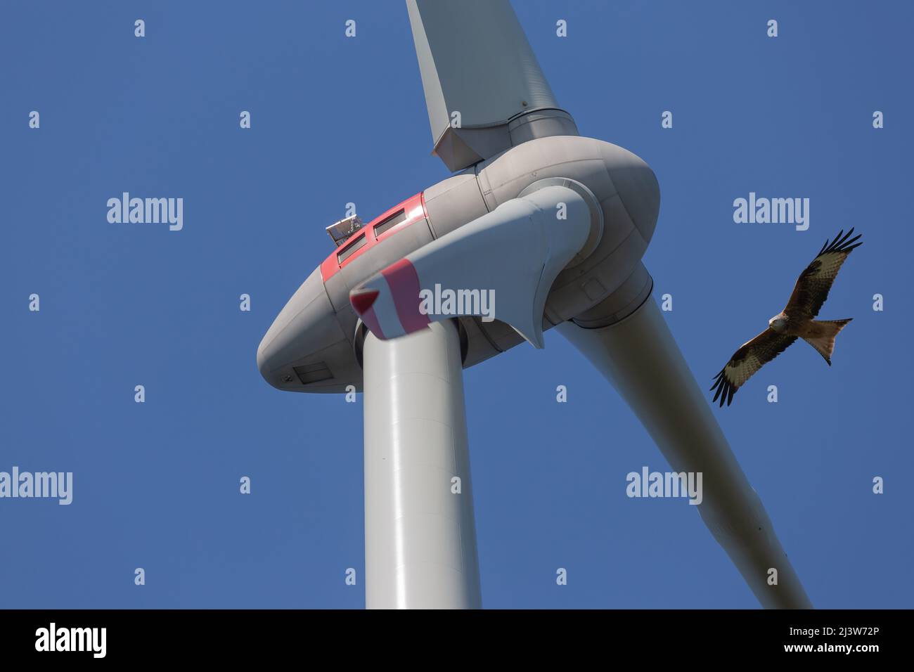 red kite glides on a wind turbine Stock Photo - Alamy