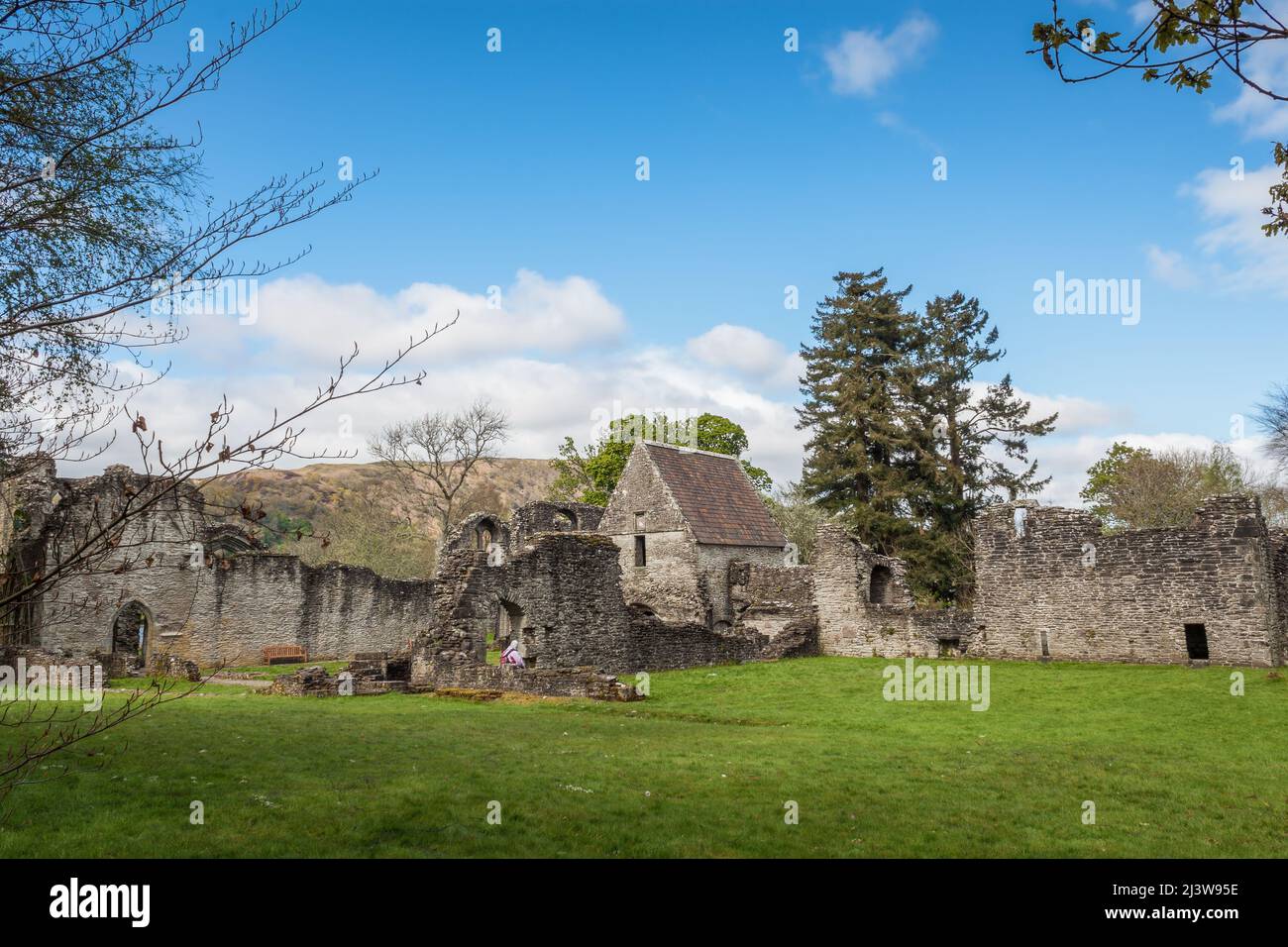 The ruins of the 13th century Inchmahome Priory near Aberfoyle ...