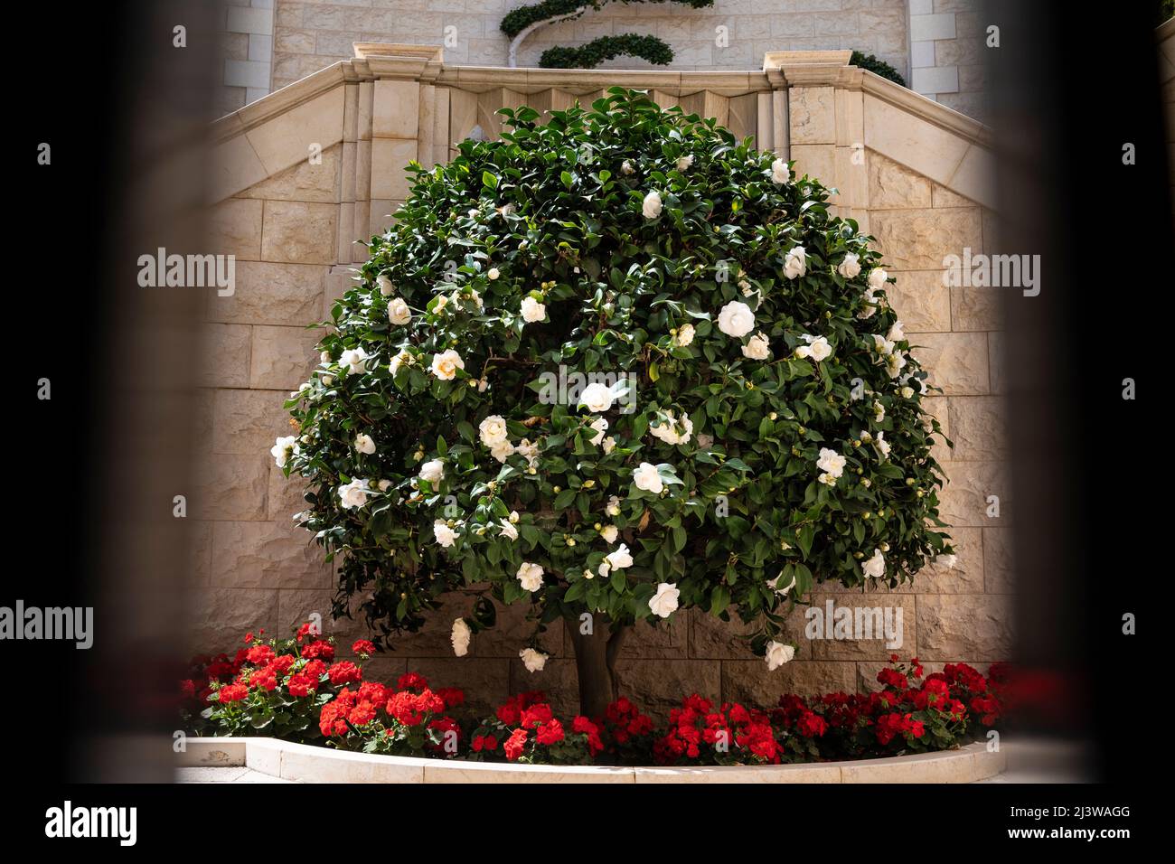 Haifa, Israel - April 10, 2022: View of gardens of the Shrine of the ...