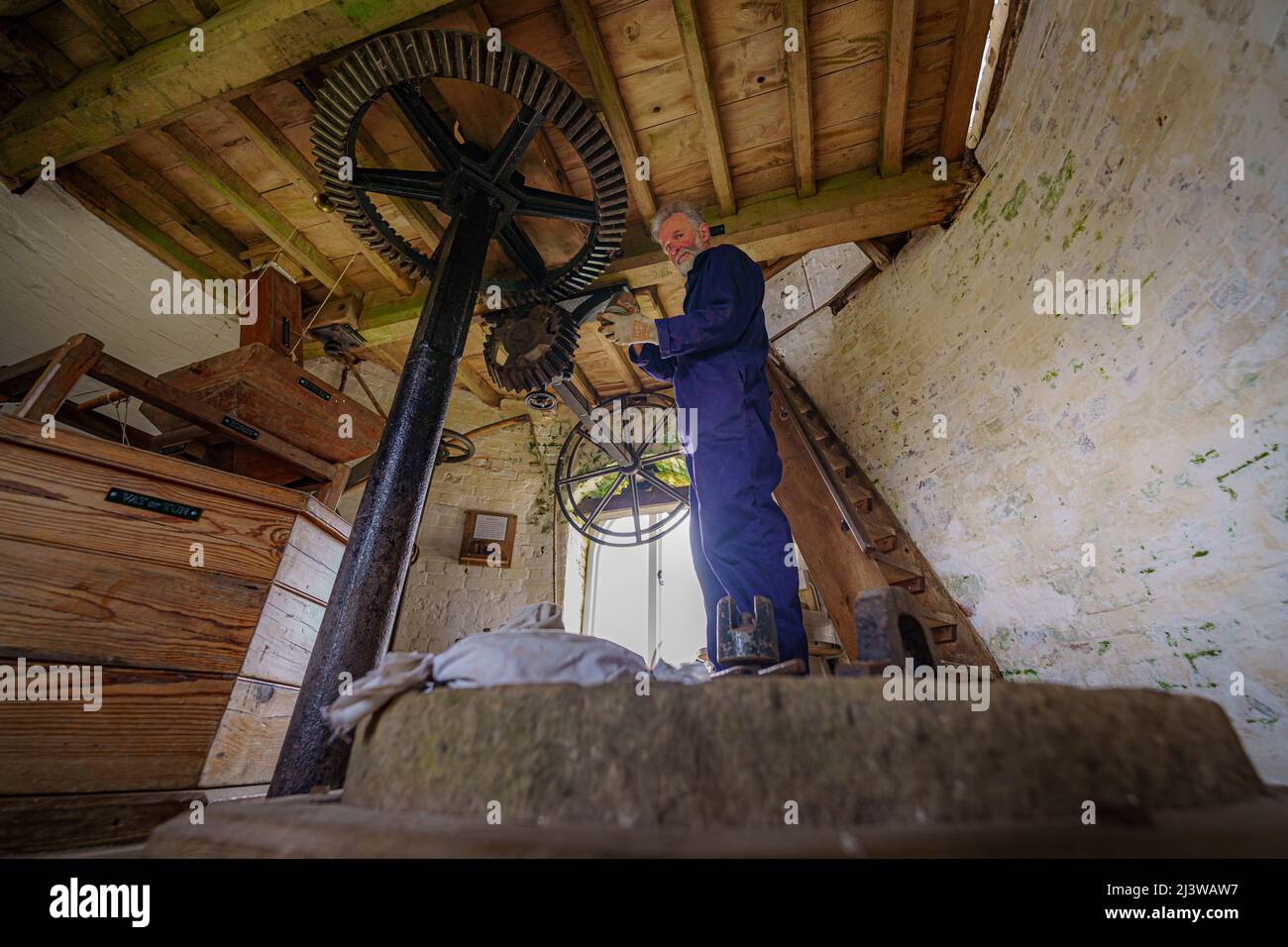 Volunteers clean and grease cogs inside Wilton windmill, Wiltshire ...