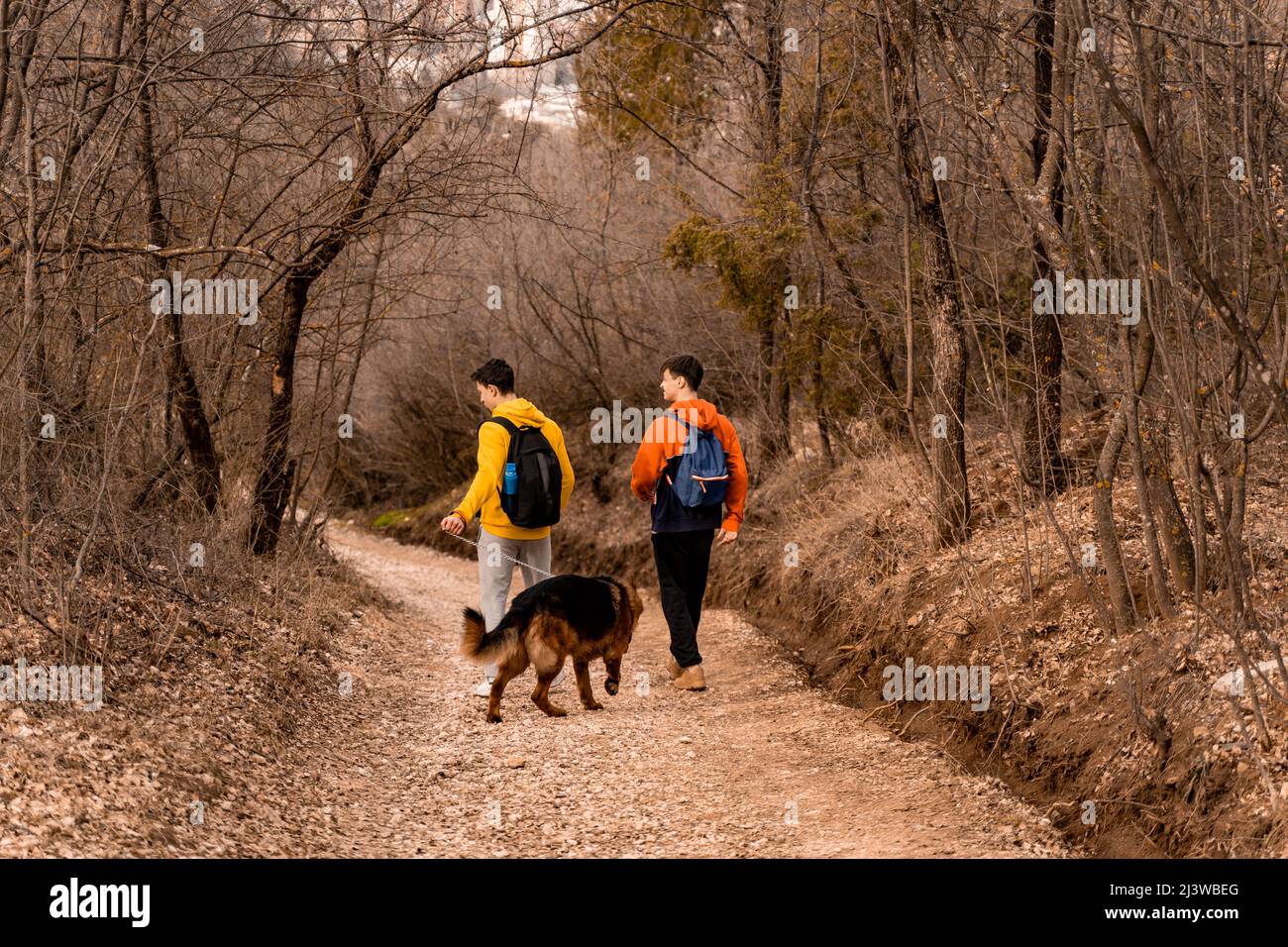 Amazing and handsome male friends are walking their dog on the path in ...