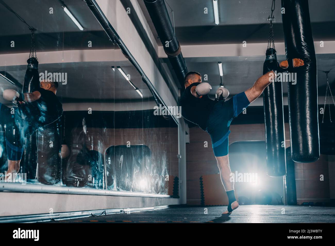 Professional muscular kick boxer training on a punching bag while ...