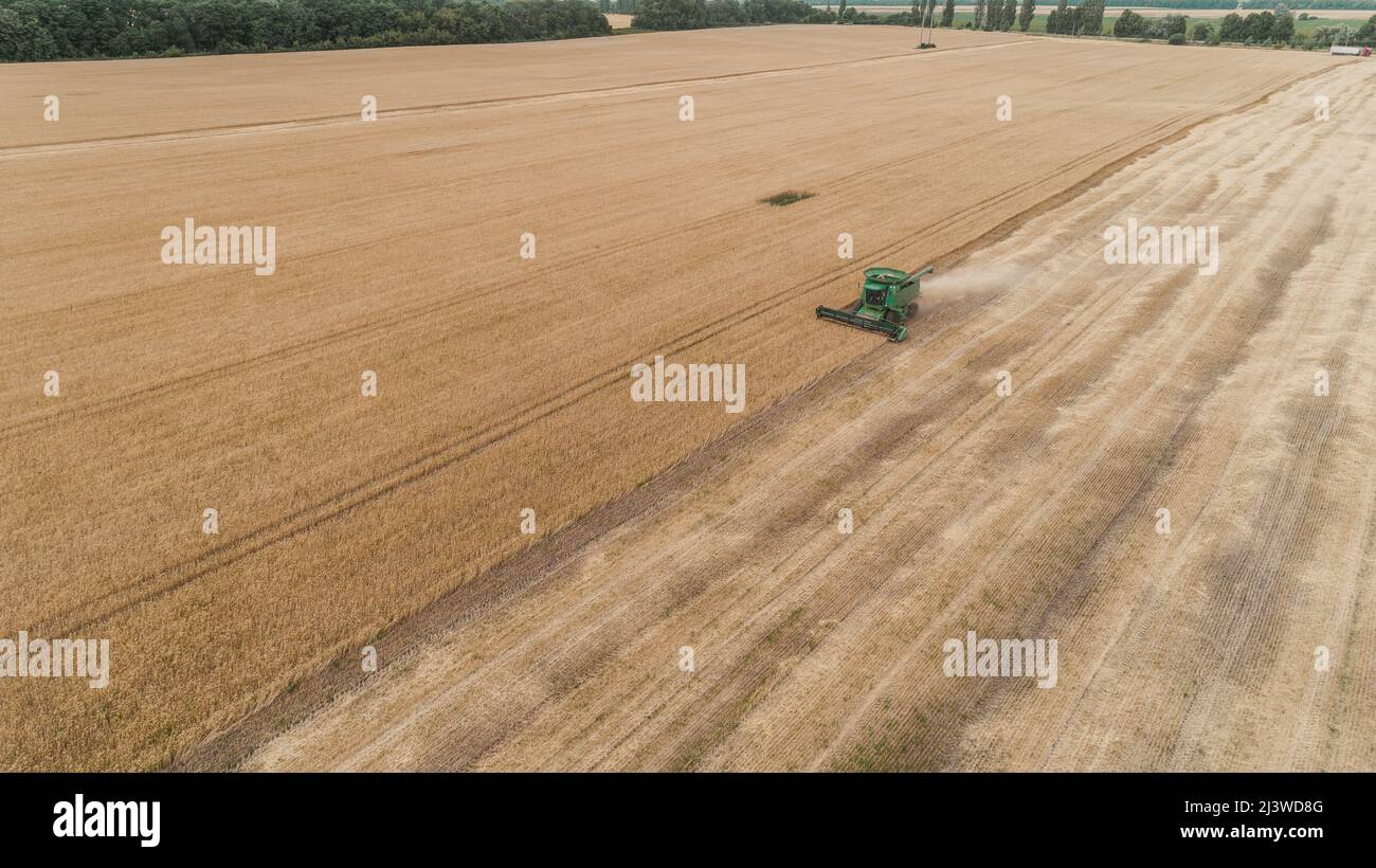 Aerial view combine harvester harvesting on the field Stock Photo - Alamy