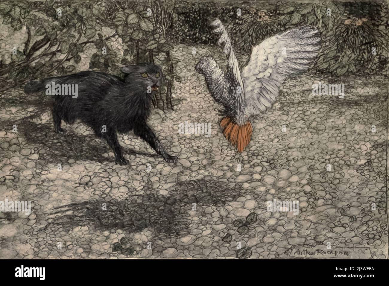 Canary cage painting hi-res stock photography and images - Alamy