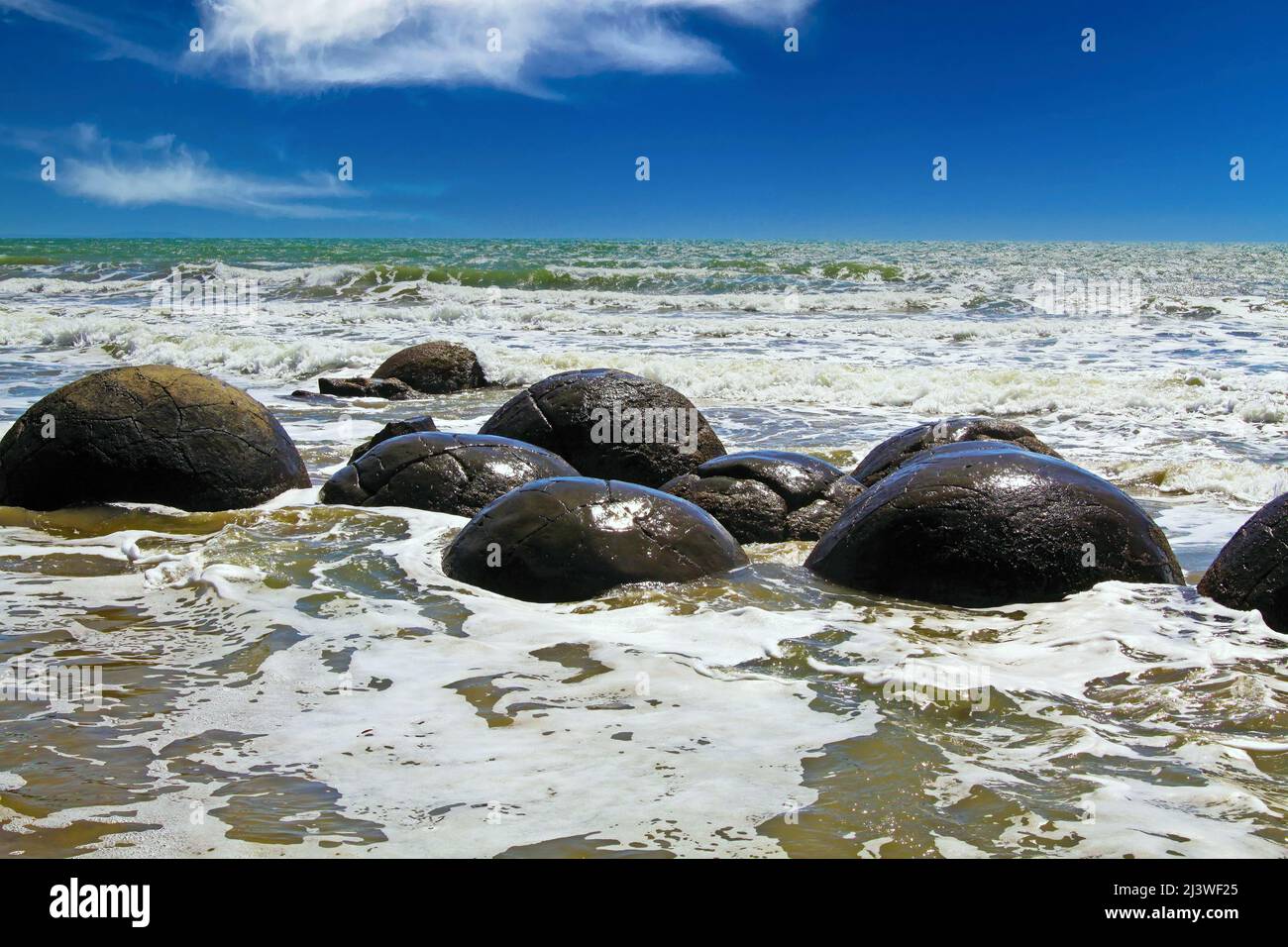 Close up of Moeraki spherical mudstone boulders in a row on the beach ...