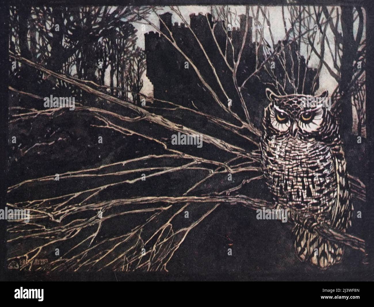 By day she made herself into a cat Or a screech owl from the story ...