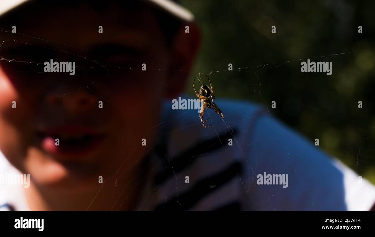 Spider class dangerous hi-res stock photography and images - Alamy