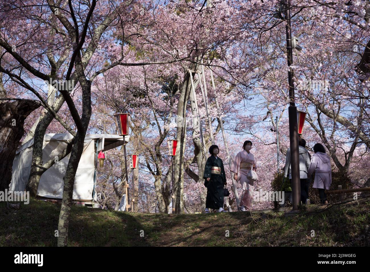 ina, nagano, japan, 2022/10/04 , Tourists taking photos and enjoying ...