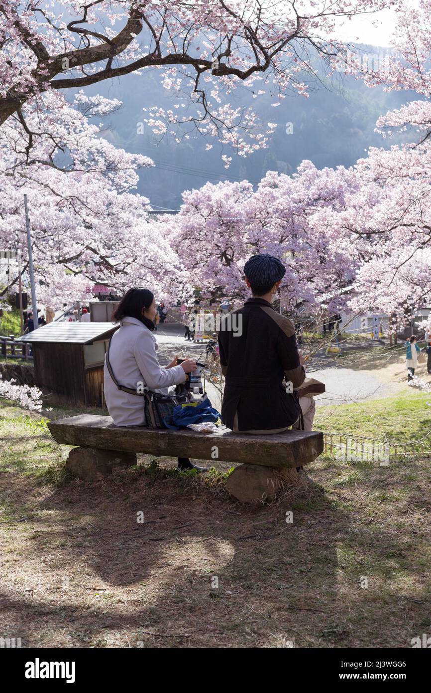 ina, nagano, japan, 2022/10/04 , Tourists taking photos and enjoying ...