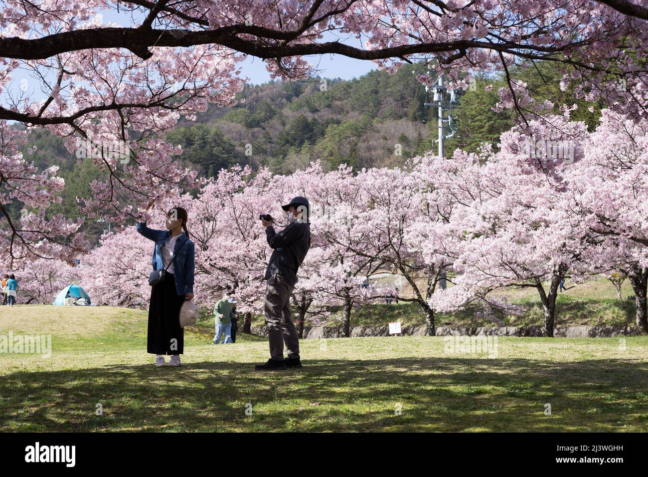 ina, nagano, japan, 2022/10/04 , Tourists taking photos and enjoying ...