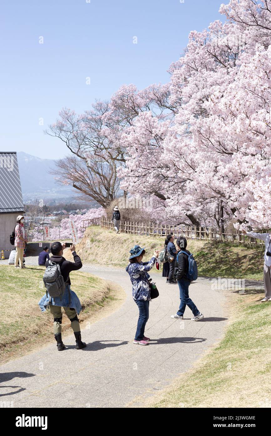 ina, nagano, japan, 2022/10/04 , Tourists taking photos and enjoying ...