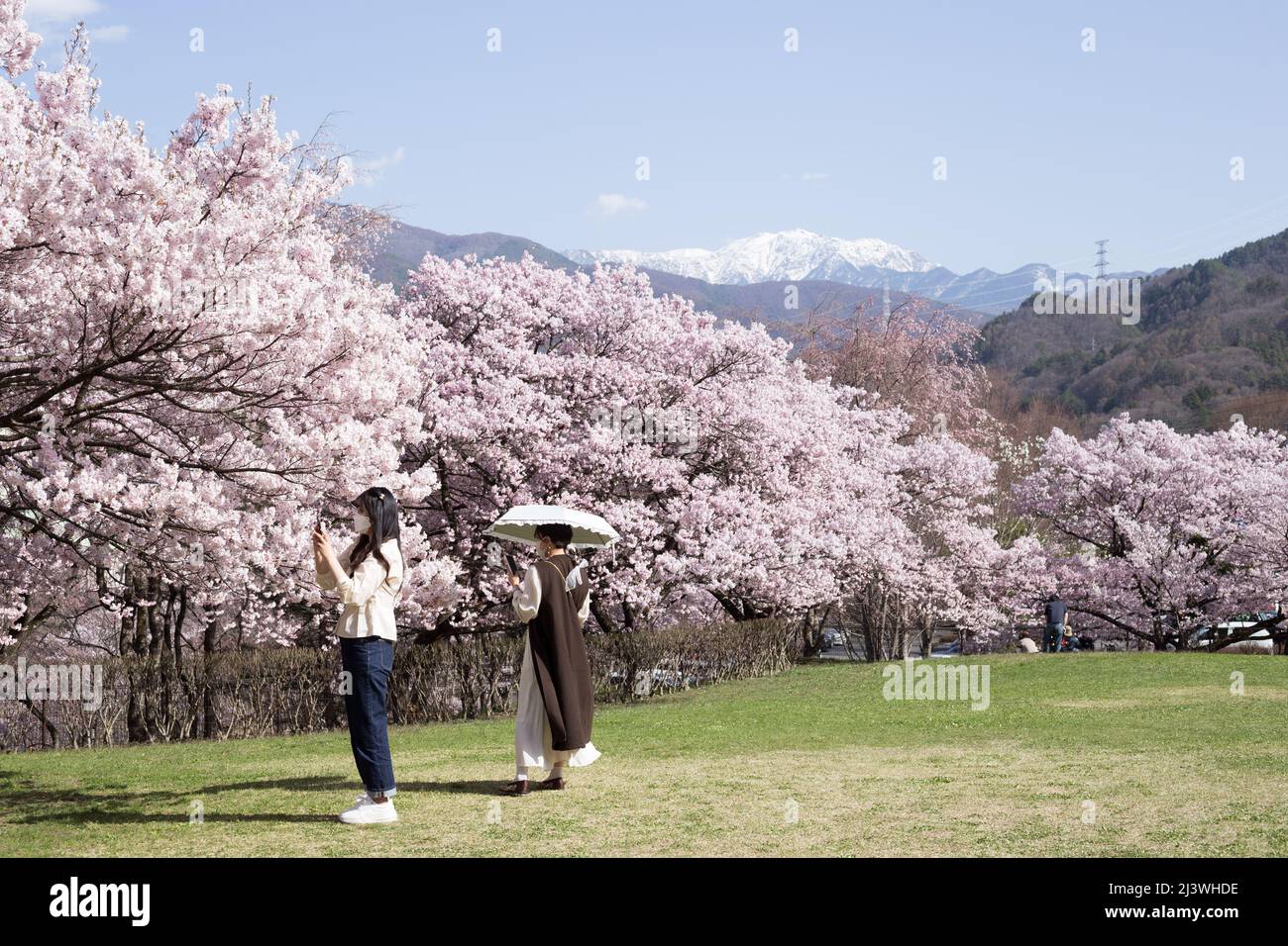 ina, nagano, japan, 2022/10/04 , Tourists taking photos and enjoying ...