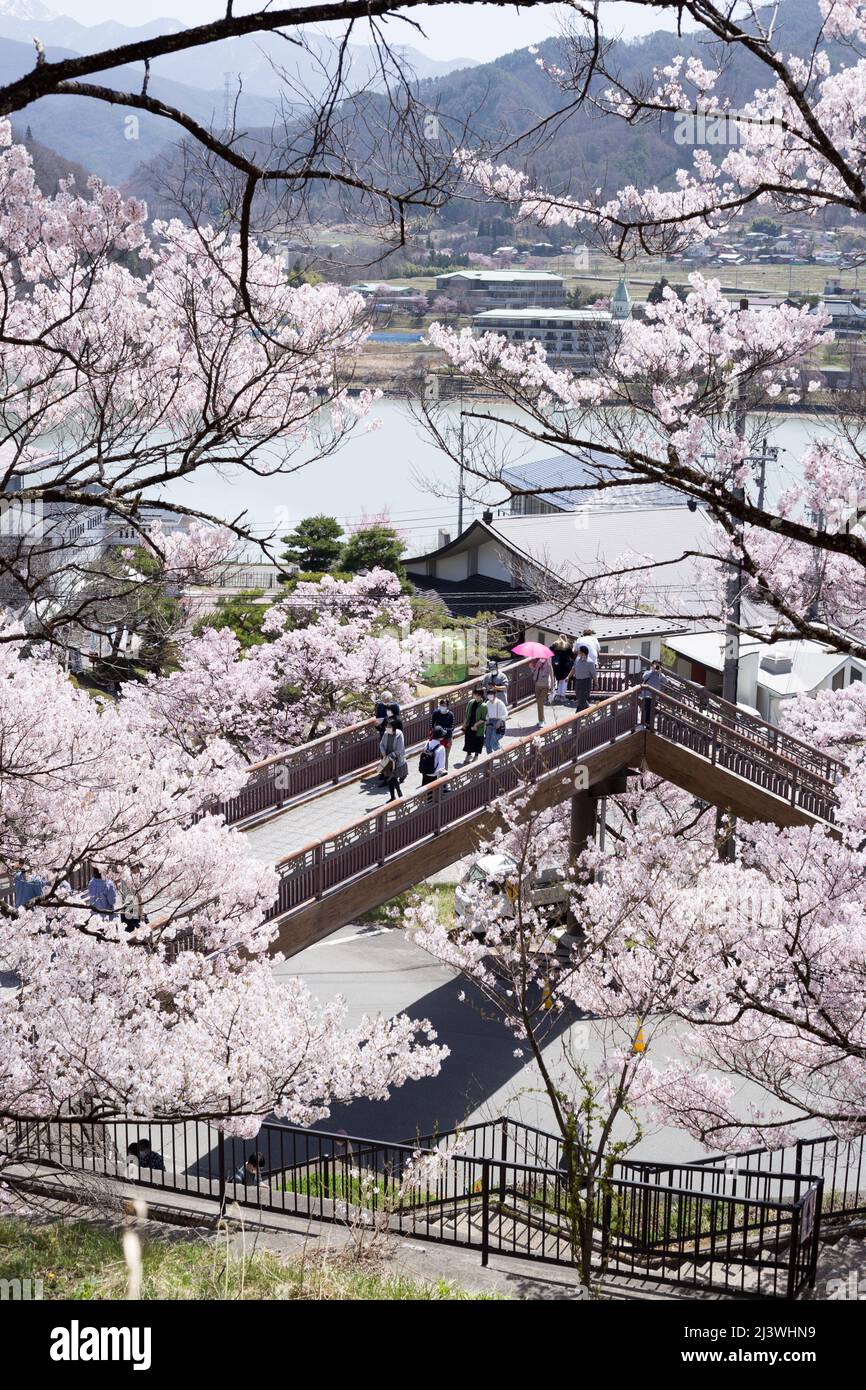 ina, nagano, japan, 2022/10/04 , People arriving at the Takato Joshi ...