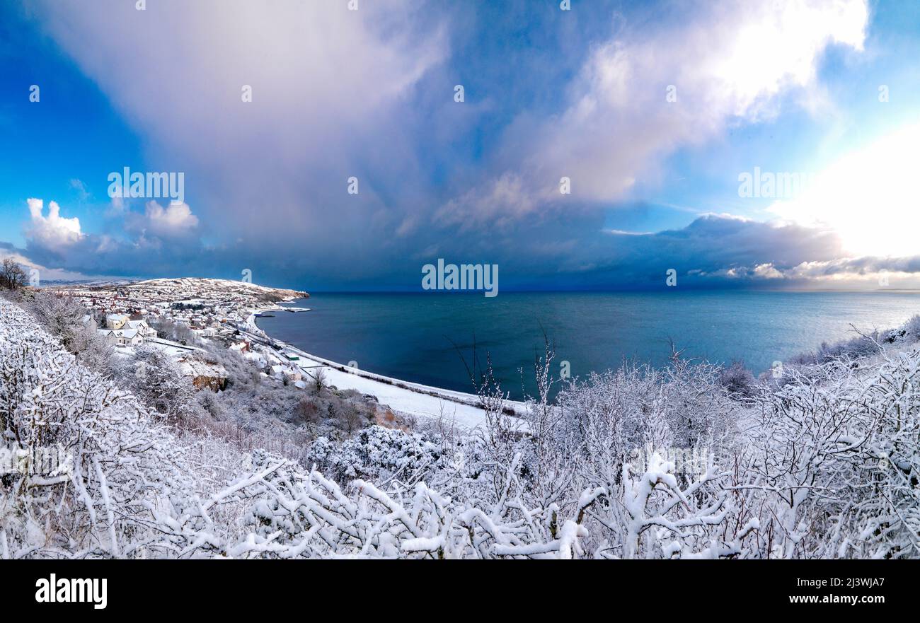 Sea whitehead hi-res stock photography and images - Alamy