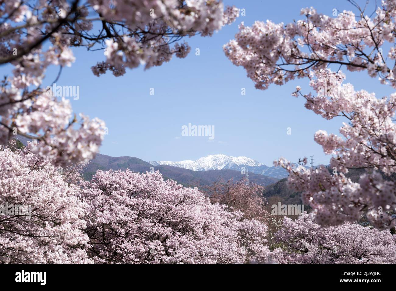 ina, nagano, japan, 2022/10/04 , Minami alps seen from the Takato Joshi ...