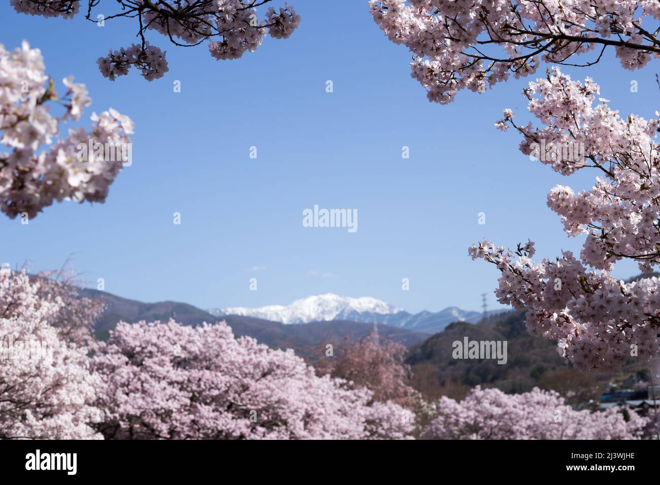 ina, nagano, japan, 2022/10/04 , Minami alps seen from the Takato Joshi ...
