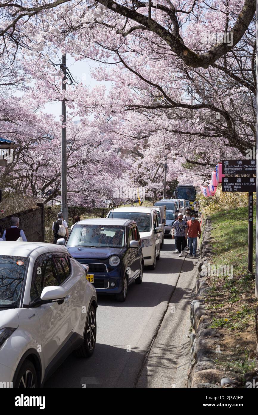 ina, nagano, japan, 2022/10/04 , cars waiting in line at Takato Joshi ...