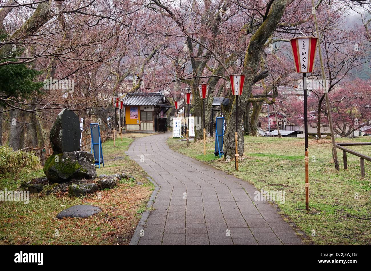 ina, nagano, japan, 2022/10/04 , Rainy day at Takato Joshi Park located ...