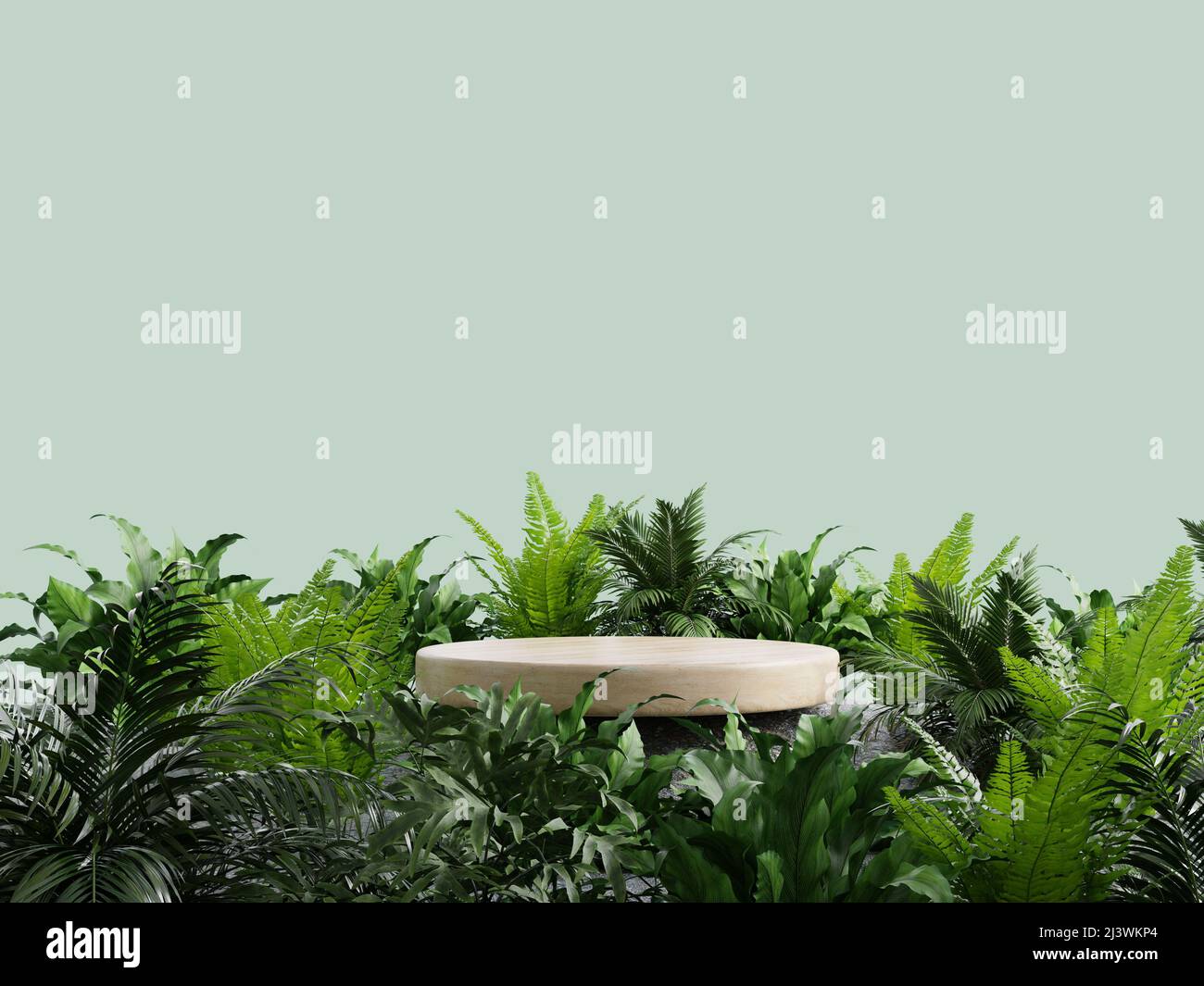 Wooden podium in tropical forest for product presentation and green ...