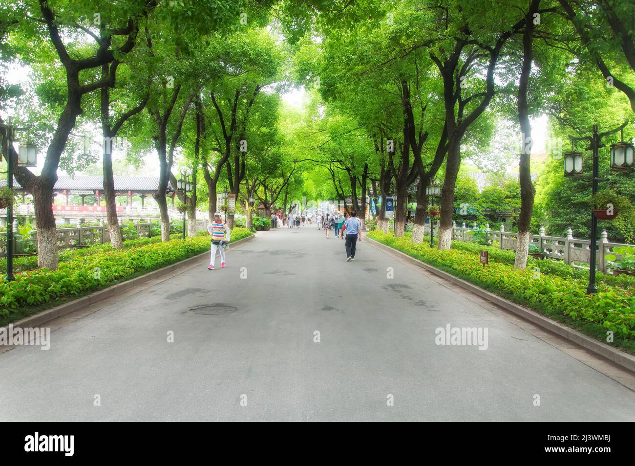 Walking under canopy hi-res stock photography and images - Alamy