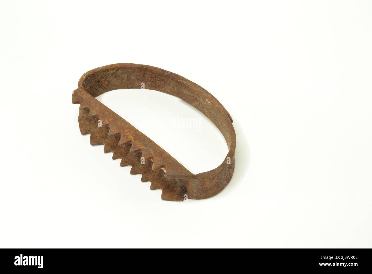 Rusted metal corn husker on white background Stock Photo - Alamy