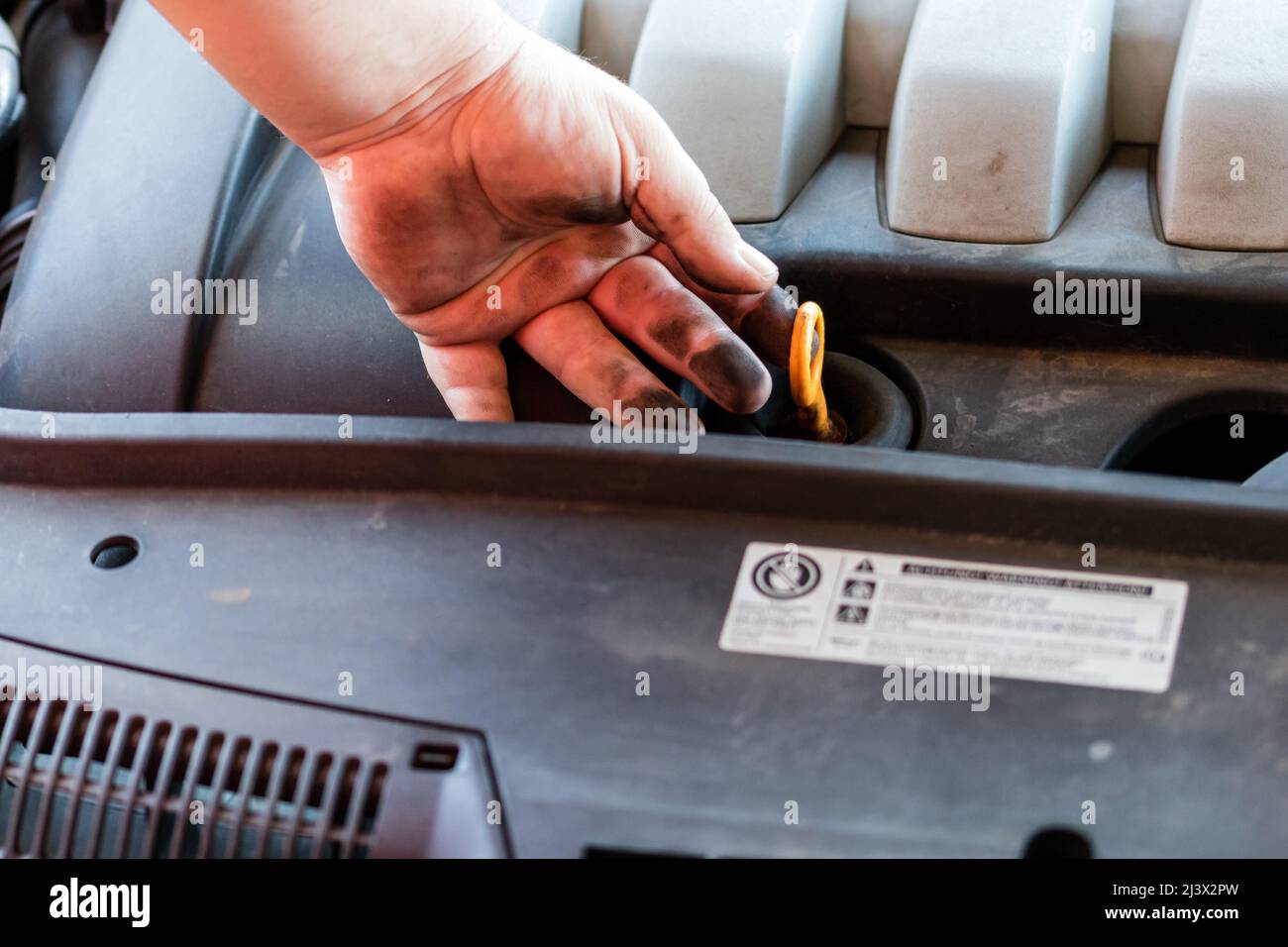 Car mechanic checking the engine oil level Stock Photo - Alamy