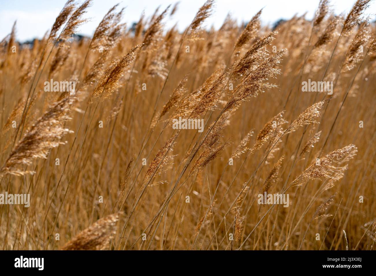Holes bay hi-res stock photography and images - Alamy