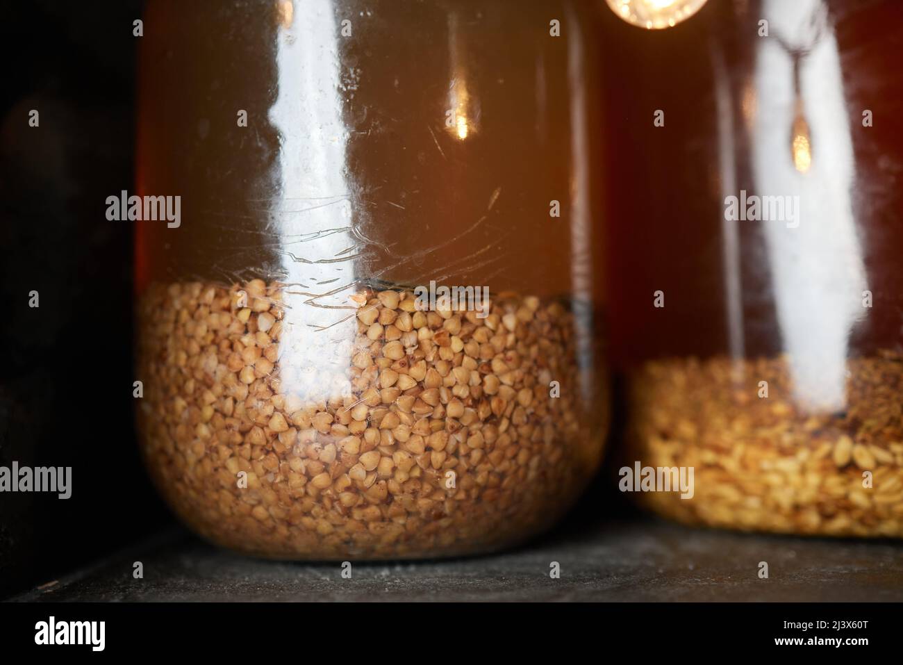 Alcoholic drink, tincture using a snake. Alcoholic drink infused with ...