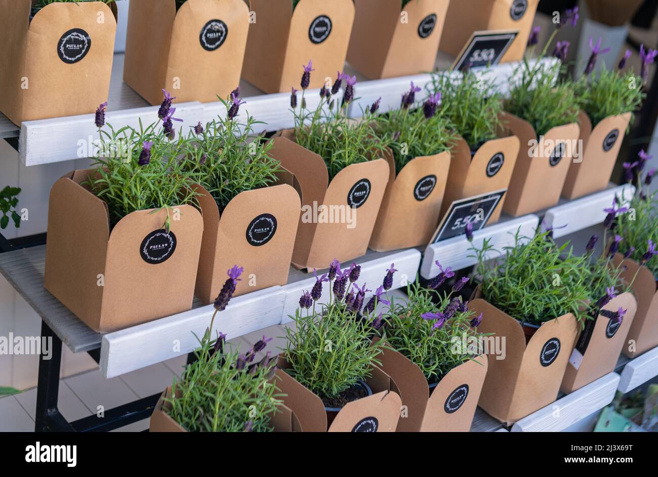 PORTO, PORTUGAL - 04.04.2022: Flower market with Fresh lavender in ...