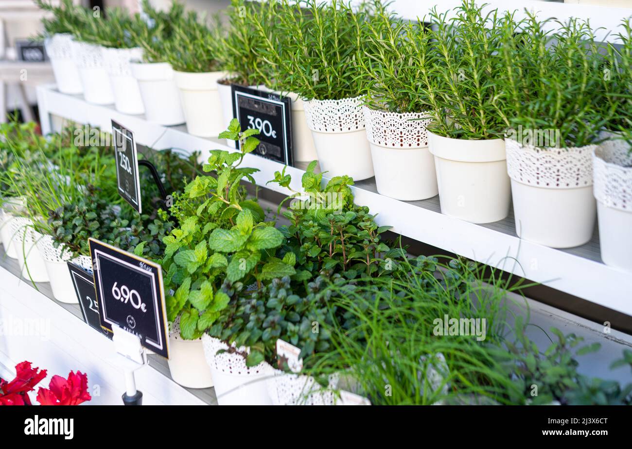 PORTO, PORTUGAL - 04.04.2022: Flower market with Fresh herbs in flower ...