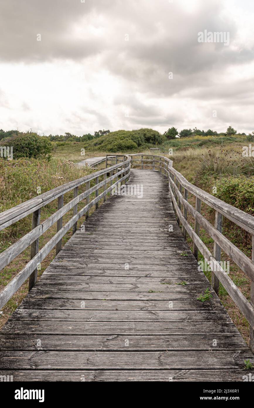 Path to the beach and the horizon, path and nature. This is wooden pavement, floor, walkway ...