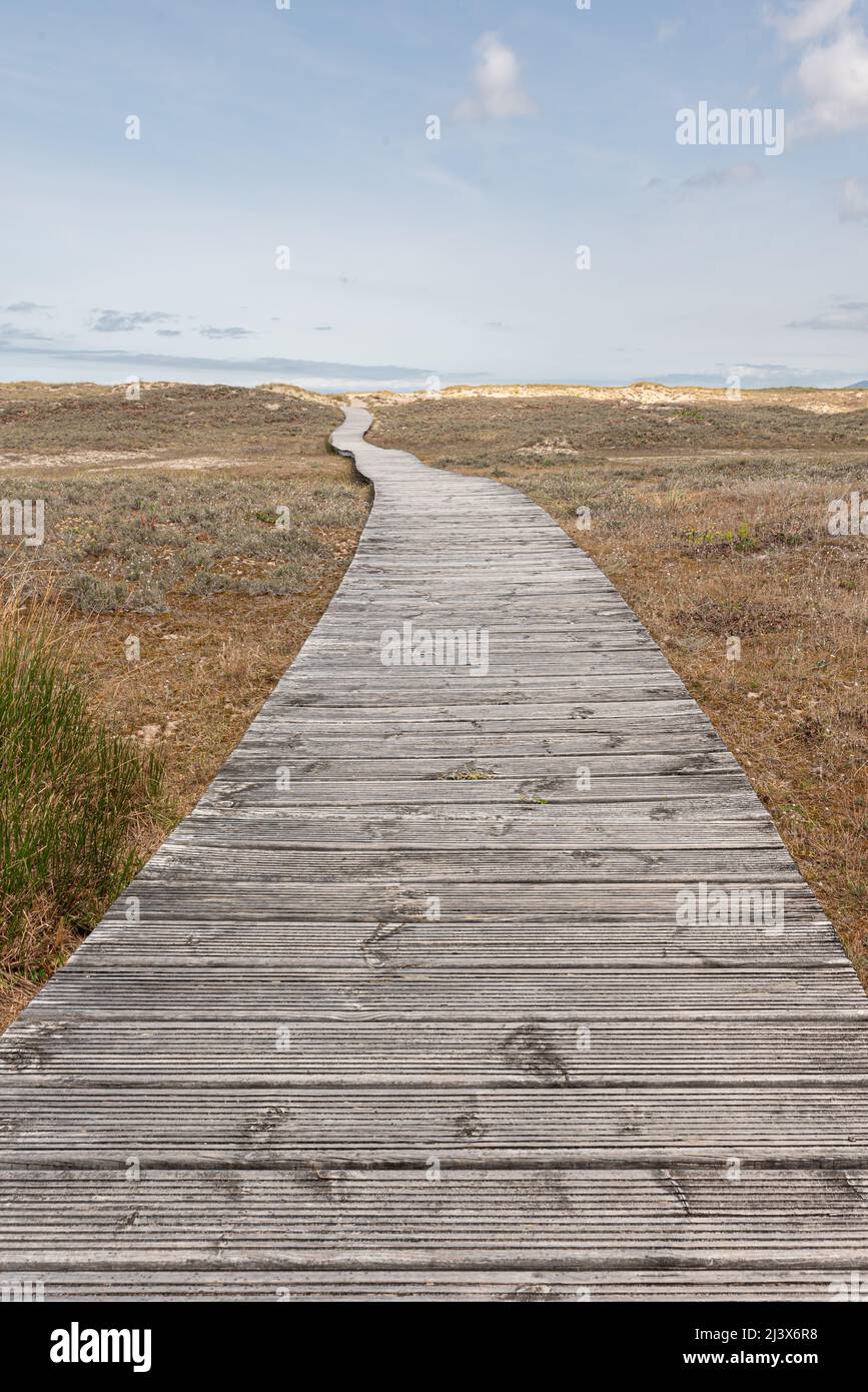 Path to the beach and the horizon, path and nature. This is wooden ...