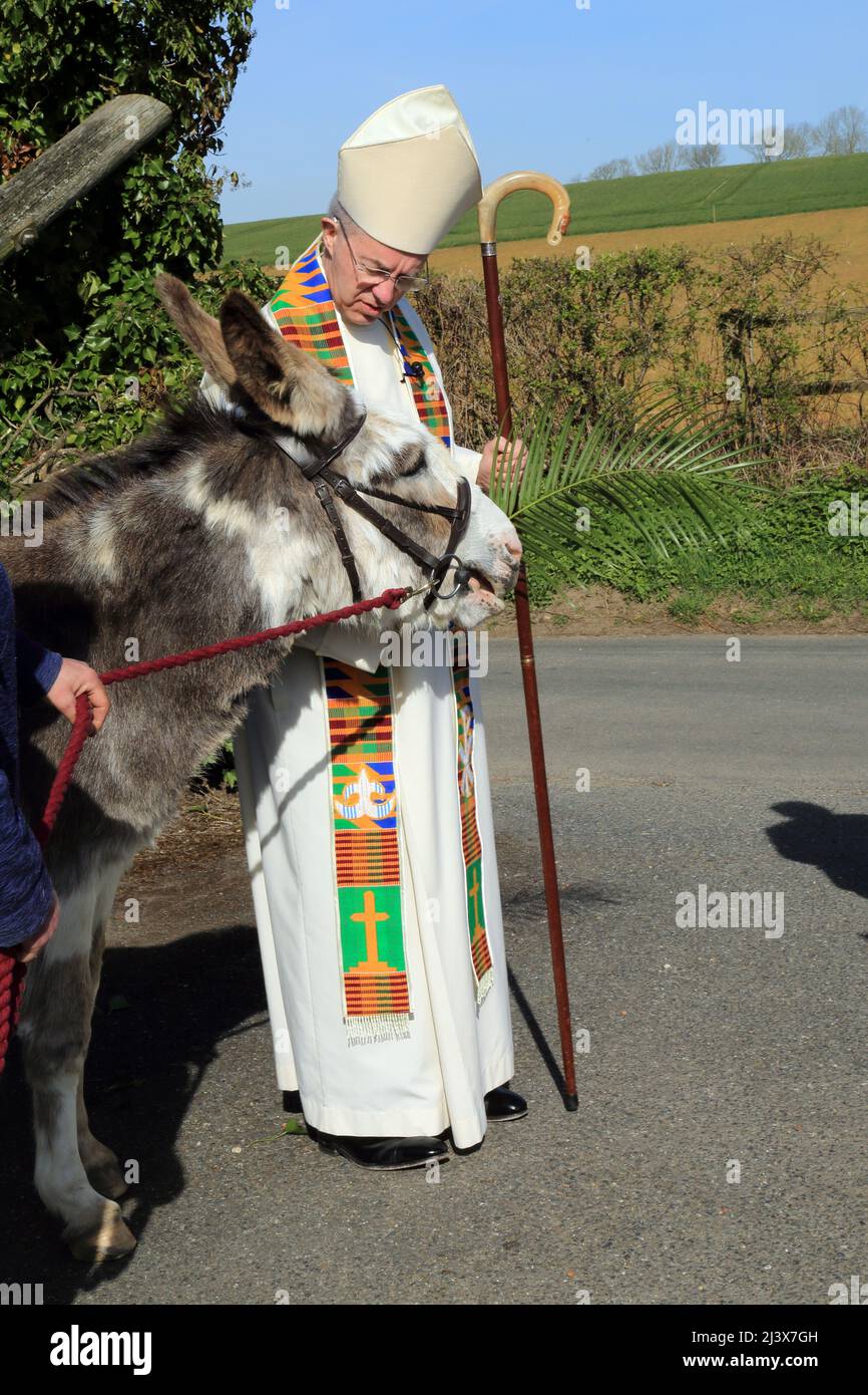 Donkey parade hi-res stock photography and images - Alamy