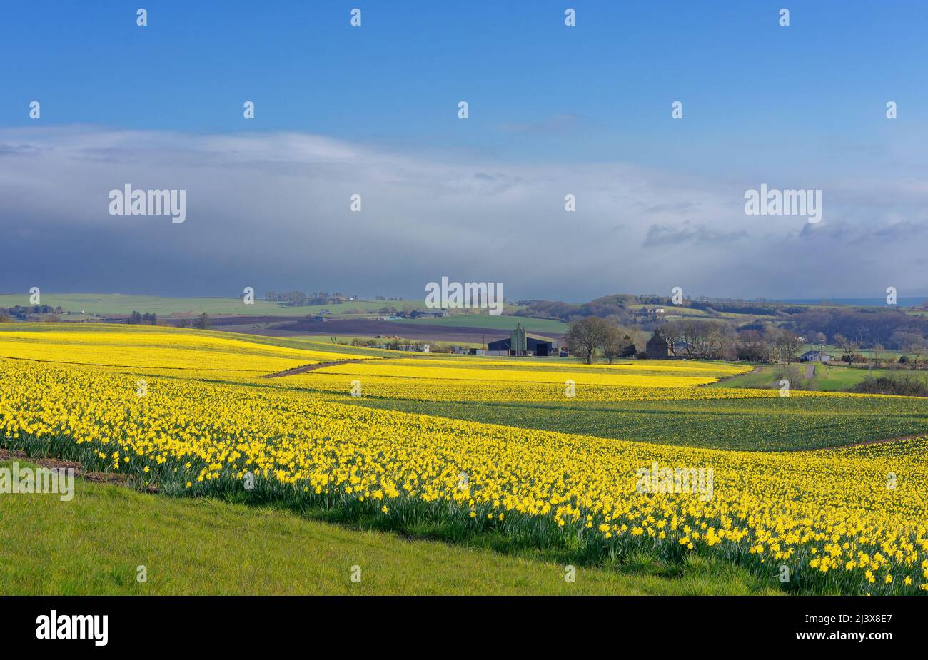 KINNEFF STONEHAVEN SCOTLAND FARMLAND FARMS AND BLUE SKY OVER FIELDS OF ...