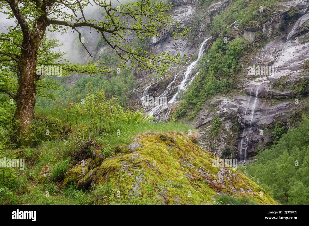 Bavona valley ticino switzerland hi-res stock photography and images ...