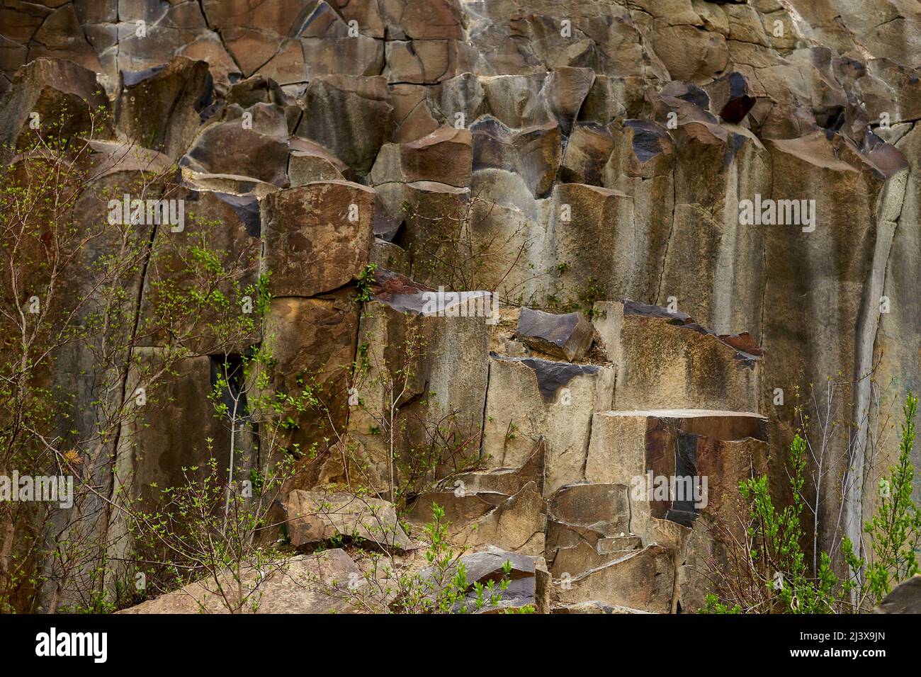 Basalt stone columns close up, Ukraine travel, rocks are shaped like ...
