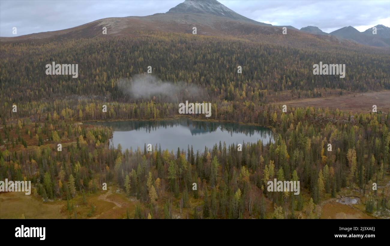 Top view of lake in forest part on background of mountain. Clip ...