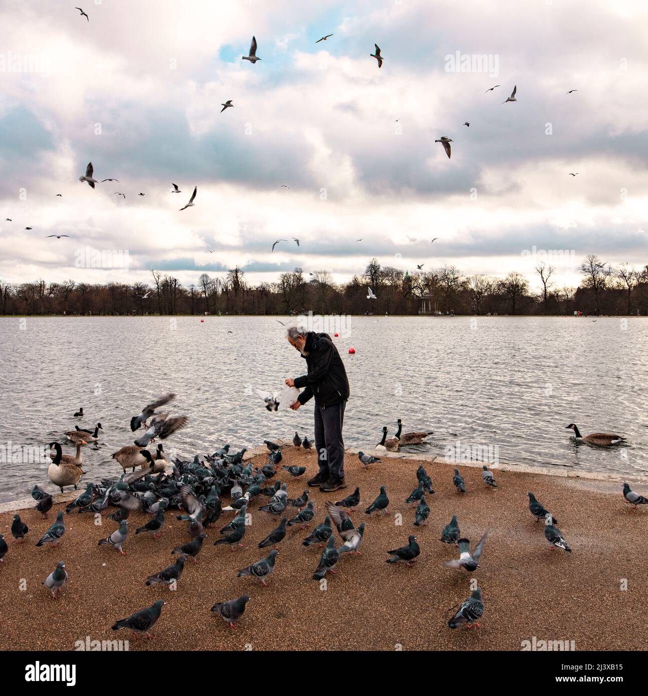Excited birds hi-res stock photography and images - Alamy