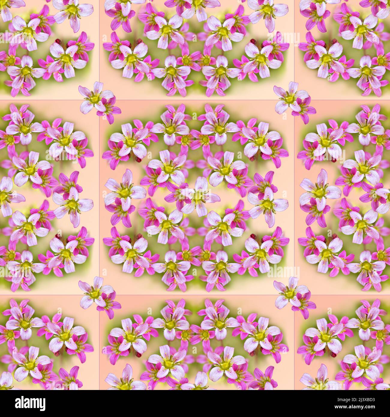 Pink seamless tiles hi-res stock photography and images - Alamy