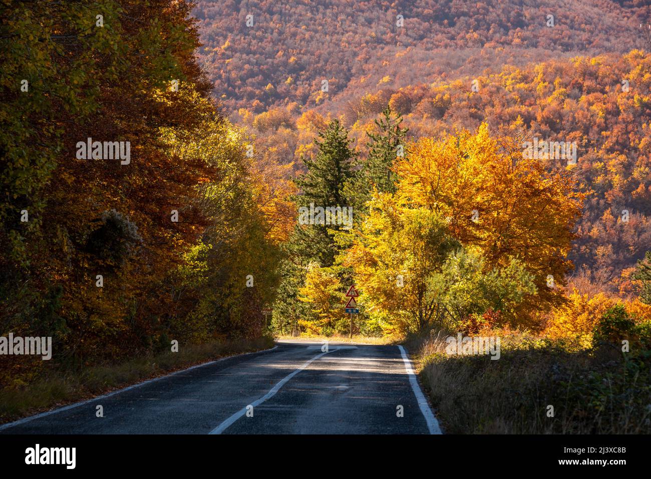 Mountain landscape plants road hi-res stock photography and images - Alamy