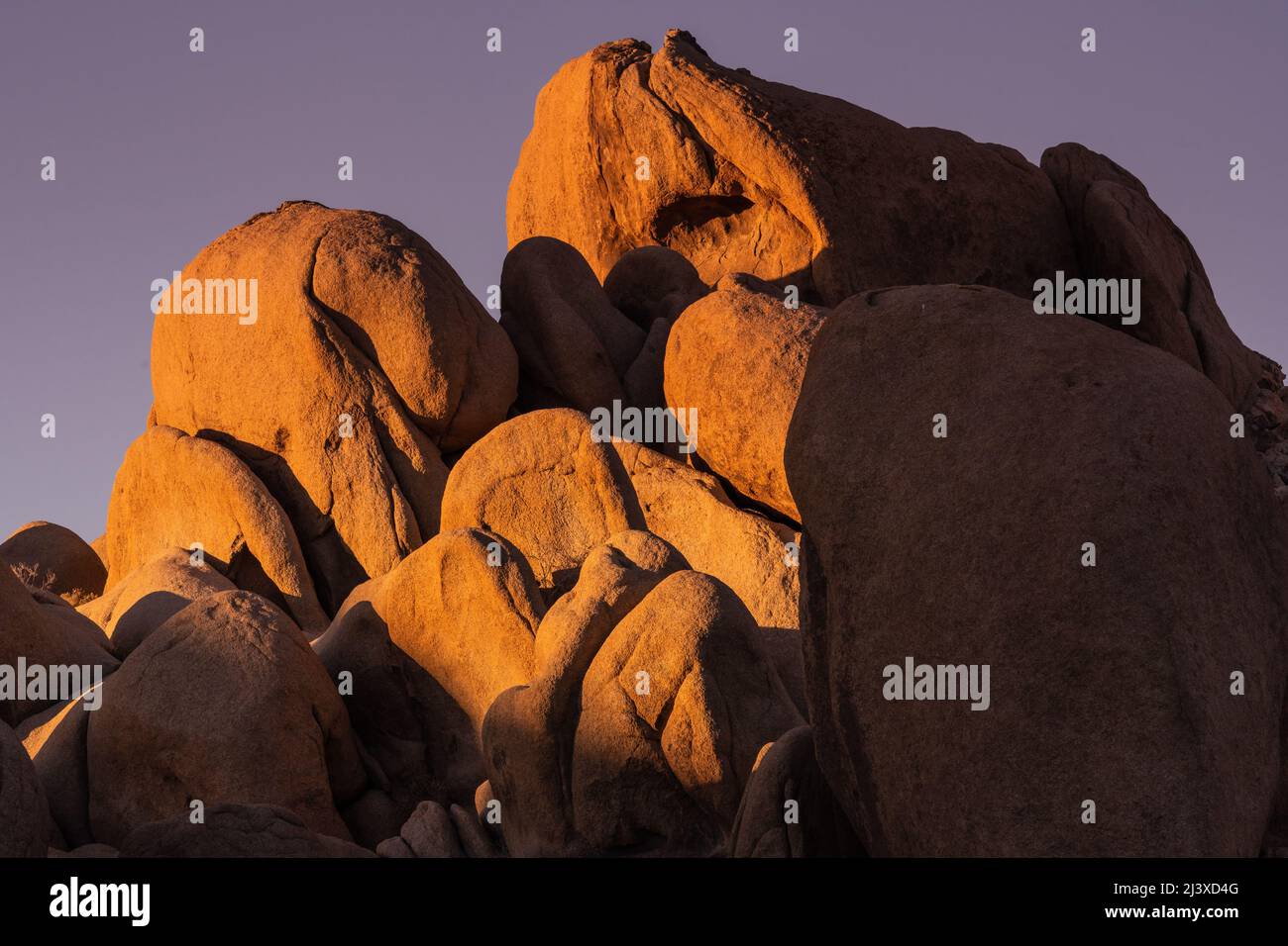 Tree lined path rocks hi-res stock photography and images - Alamy