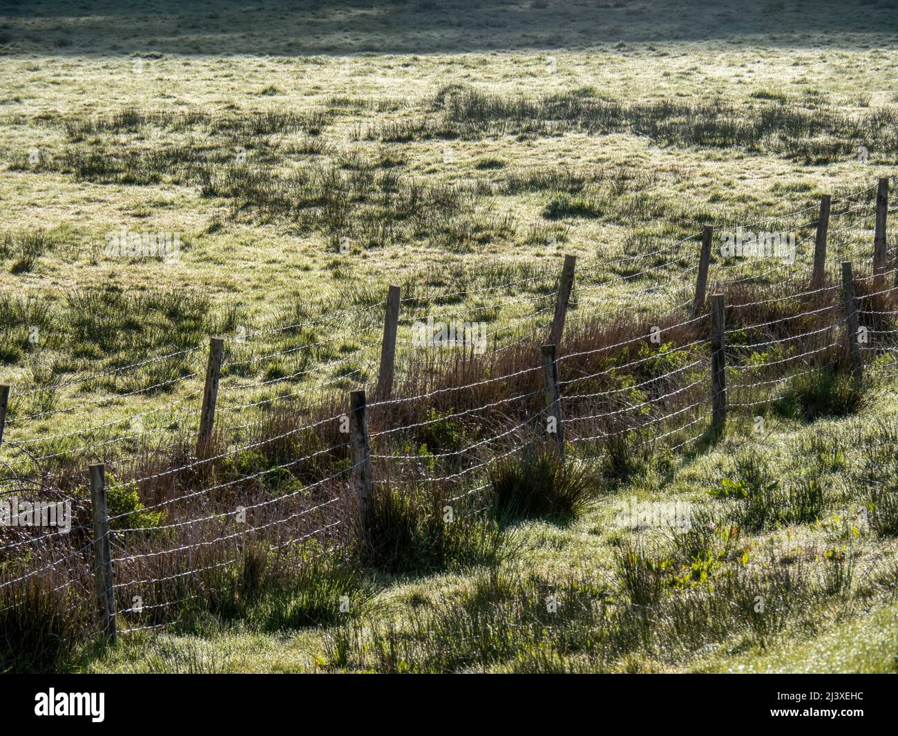 Frosty spring morning hi-res stock photography and images - Alamy