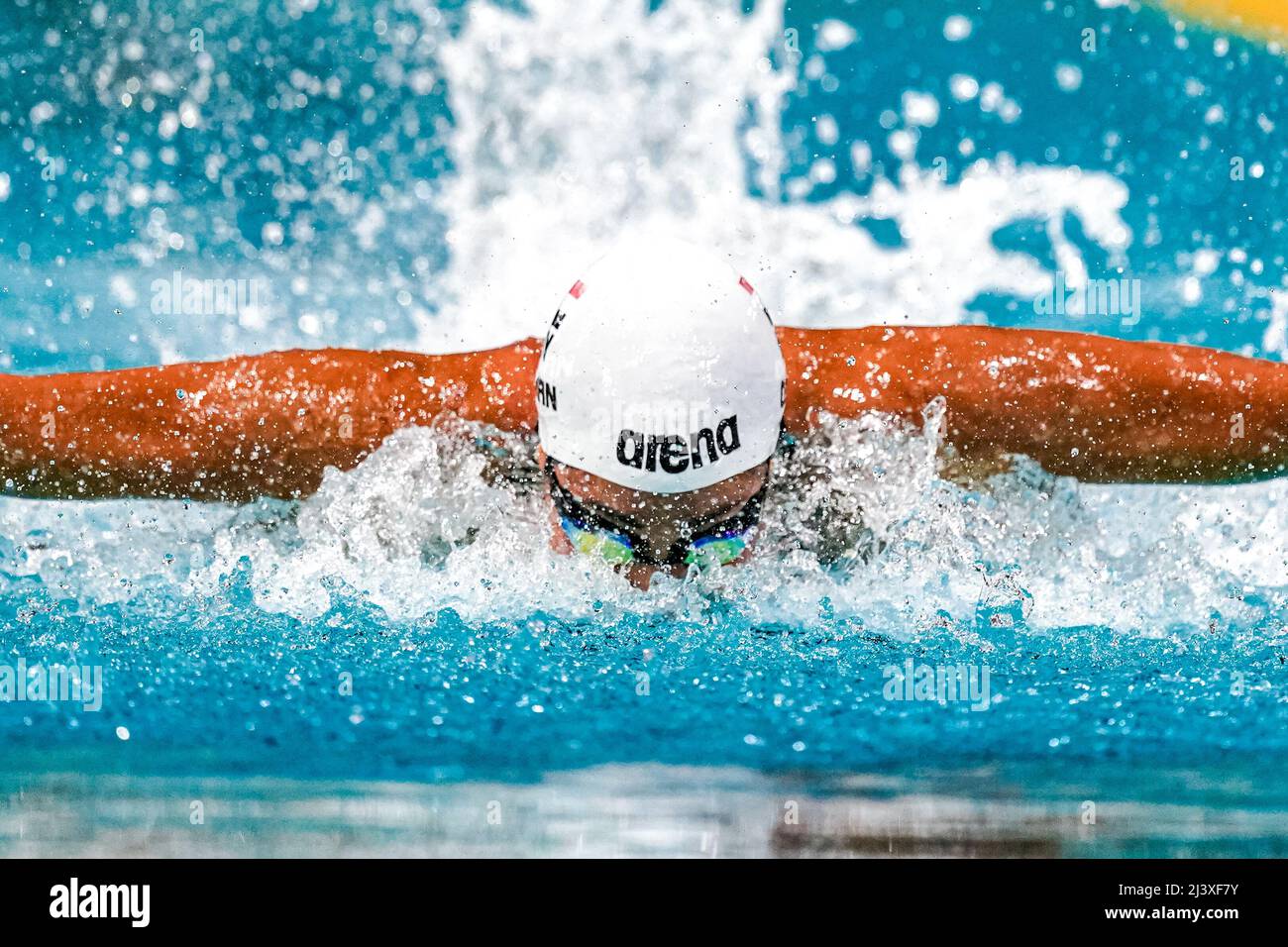 Royal huisman hi-res stock photography and images - Alamy