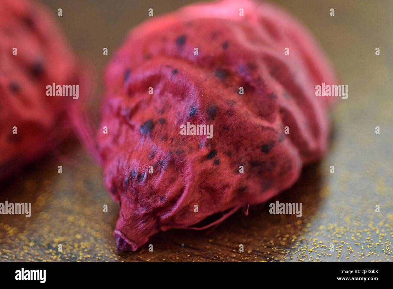 Inside a seed pod hi-res stock photography and images - Alamy