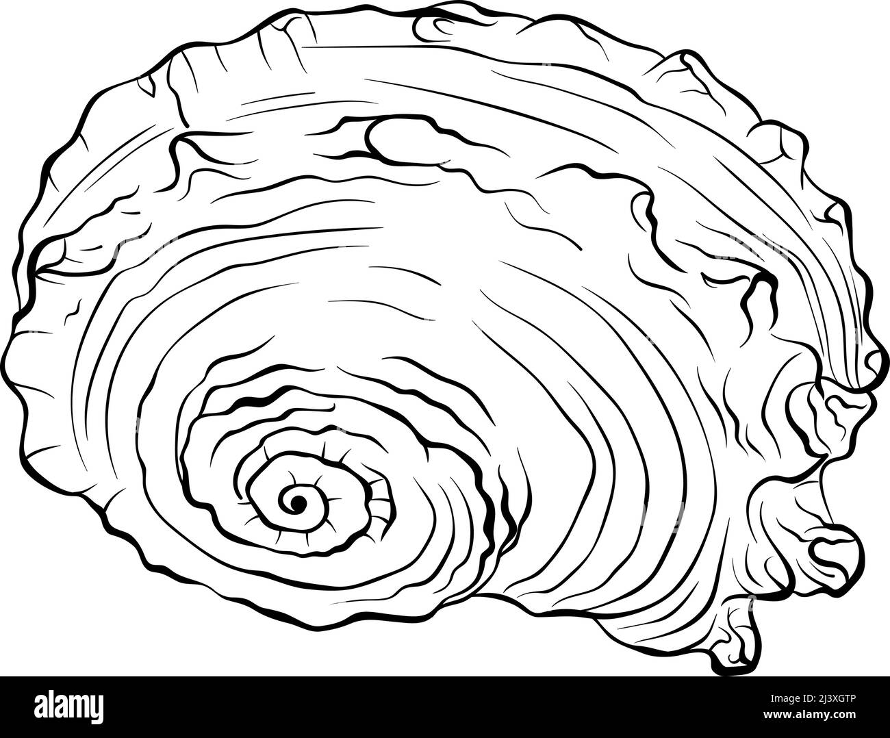 Top view beautiful one Stock Vector Images - Alamy