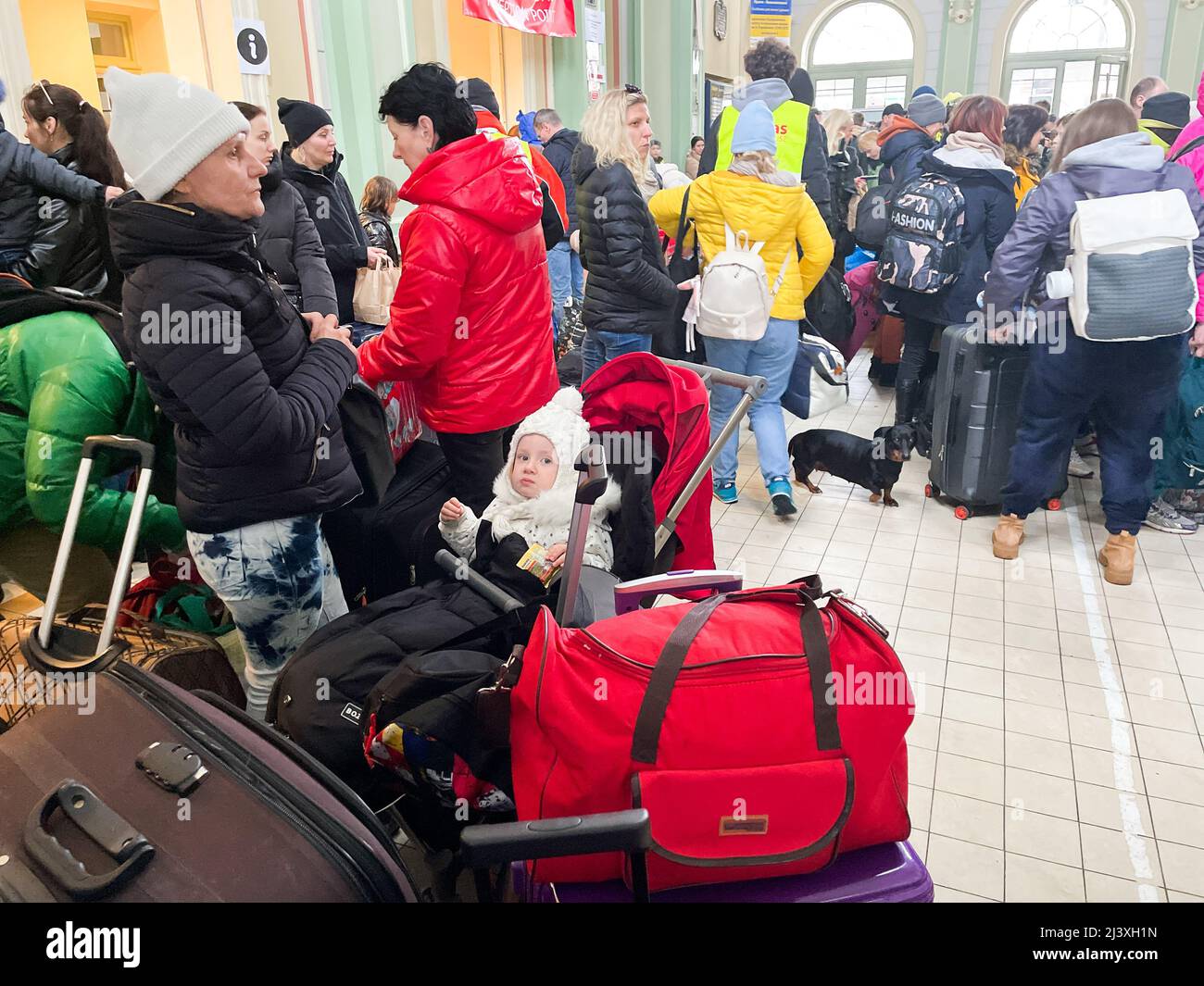 Przemysl, Poland. 9th Apr, 2022. A baby stands out in a human sea of ...