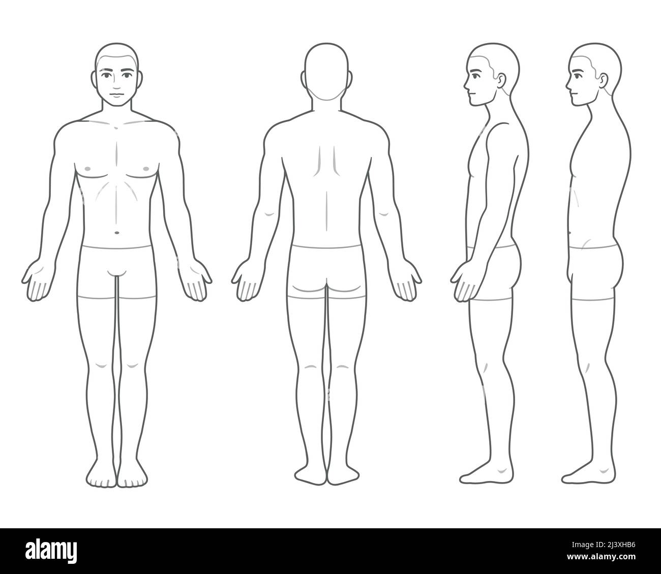 Male Body Anatomy Chart Athletic Young Man In Underwear Front Back