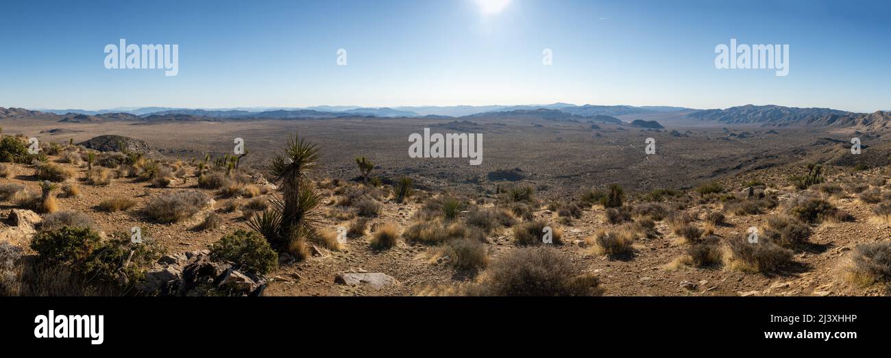 Desert queen mine joshua tree hi-res stock photography and images - Alamy
